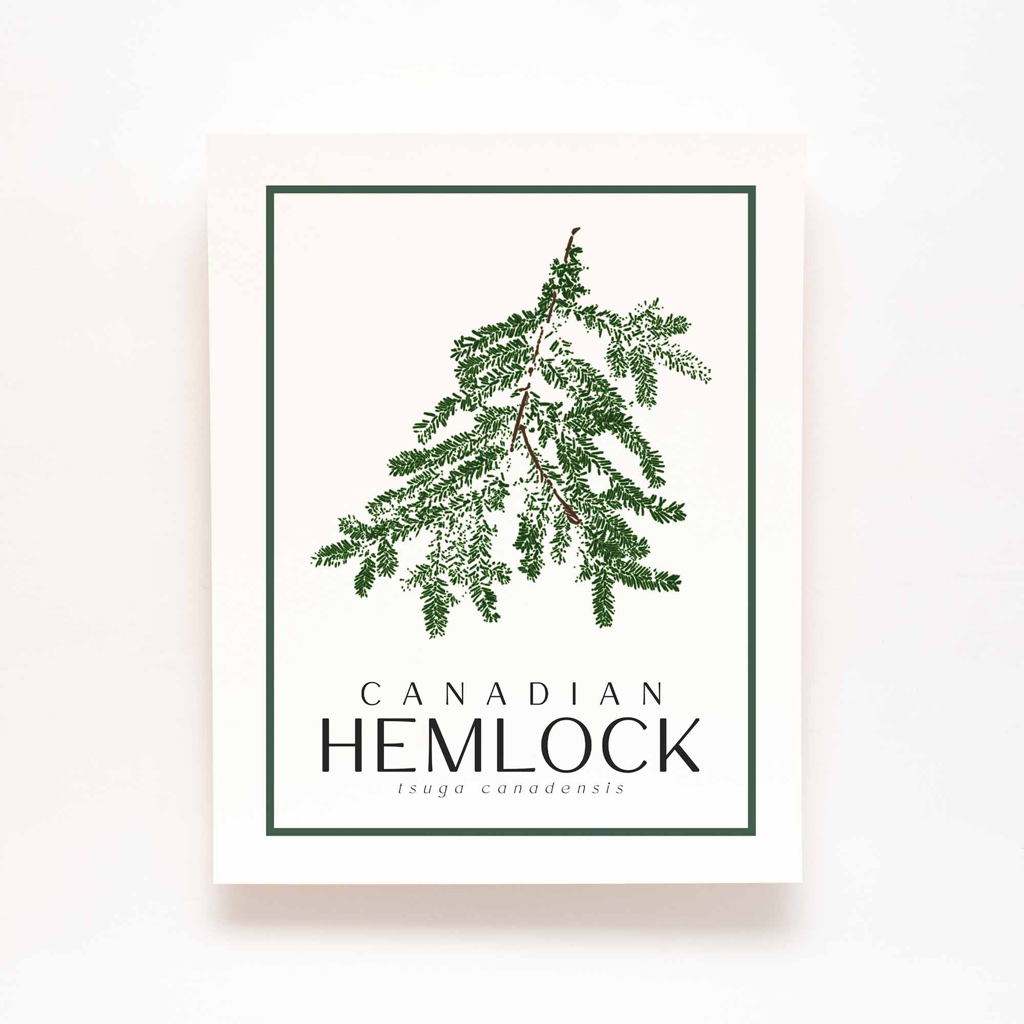 Fleurdinand | Forest Wall Art | Hemlock Tree Art Print