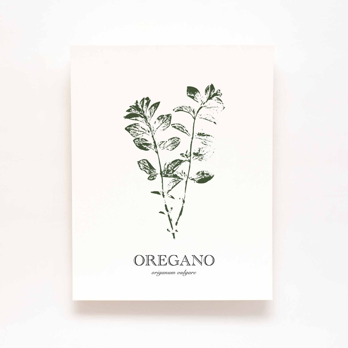 Fleurdinand | Oregano | Herb Wall Art for Kitchen